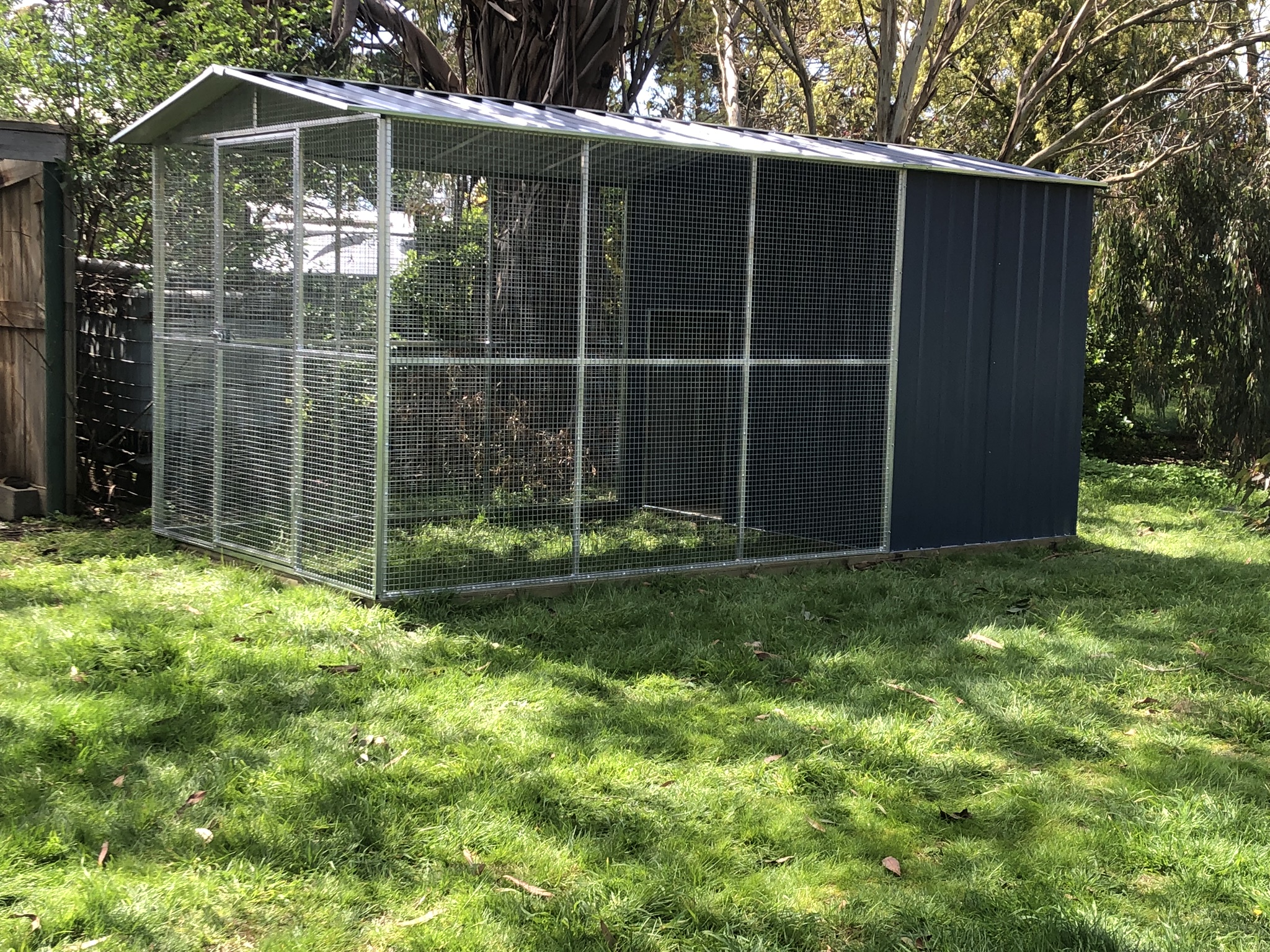 Cat Enclosures, Runs & Cages - Custom Made in Australia | SteelChief