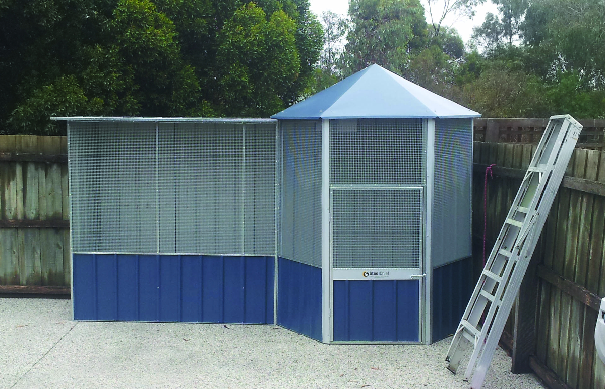 Before You Buy A Bird Aviary - SteelChief