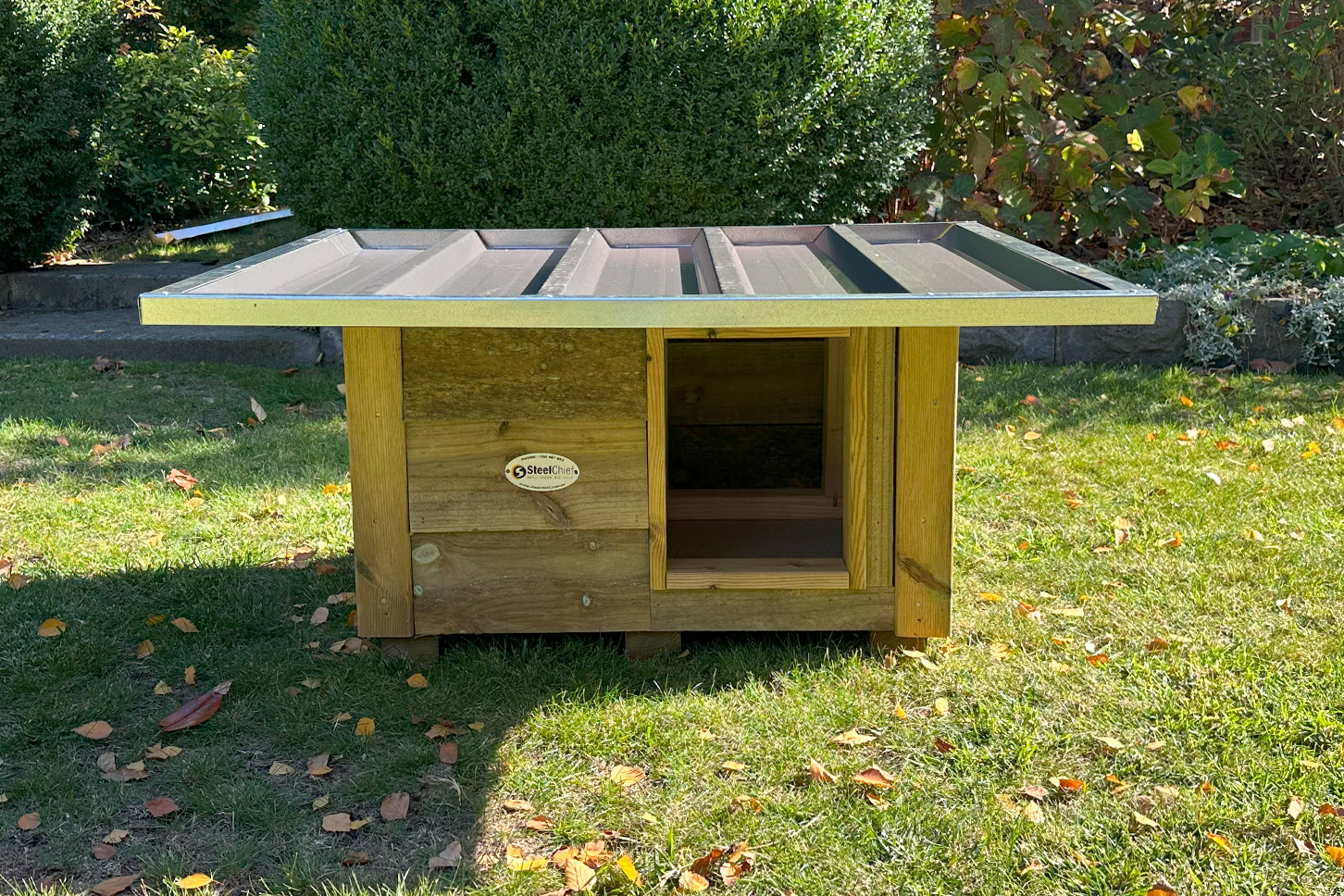 Timber Dog Kennel (Flat Roof) - SteelChief