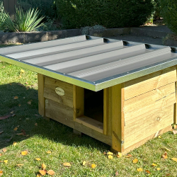 Timber Dog Kennel (Flat Roof) - SteelChief